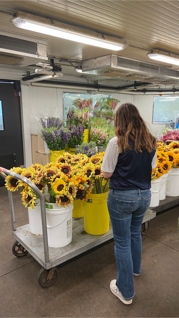 Live Feed | Odin Public School District #722